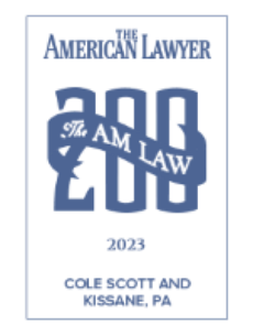 Liz S. Guinan | Cole, Scott & Kissane, P.A.