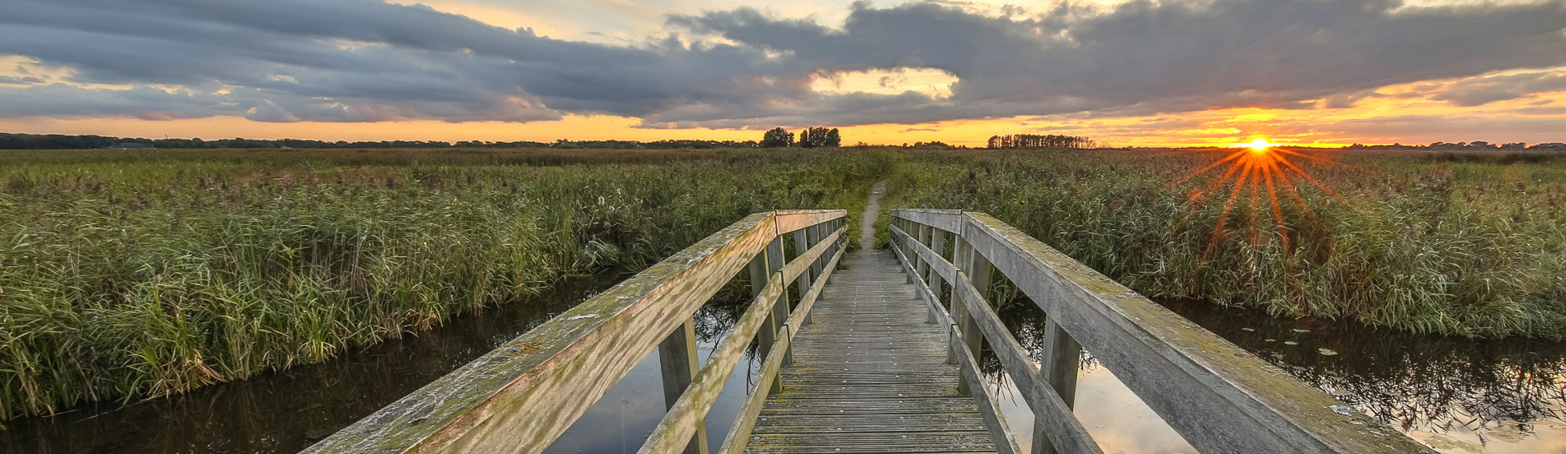 Service Map | Cole, Scott & Kissane, P.A.